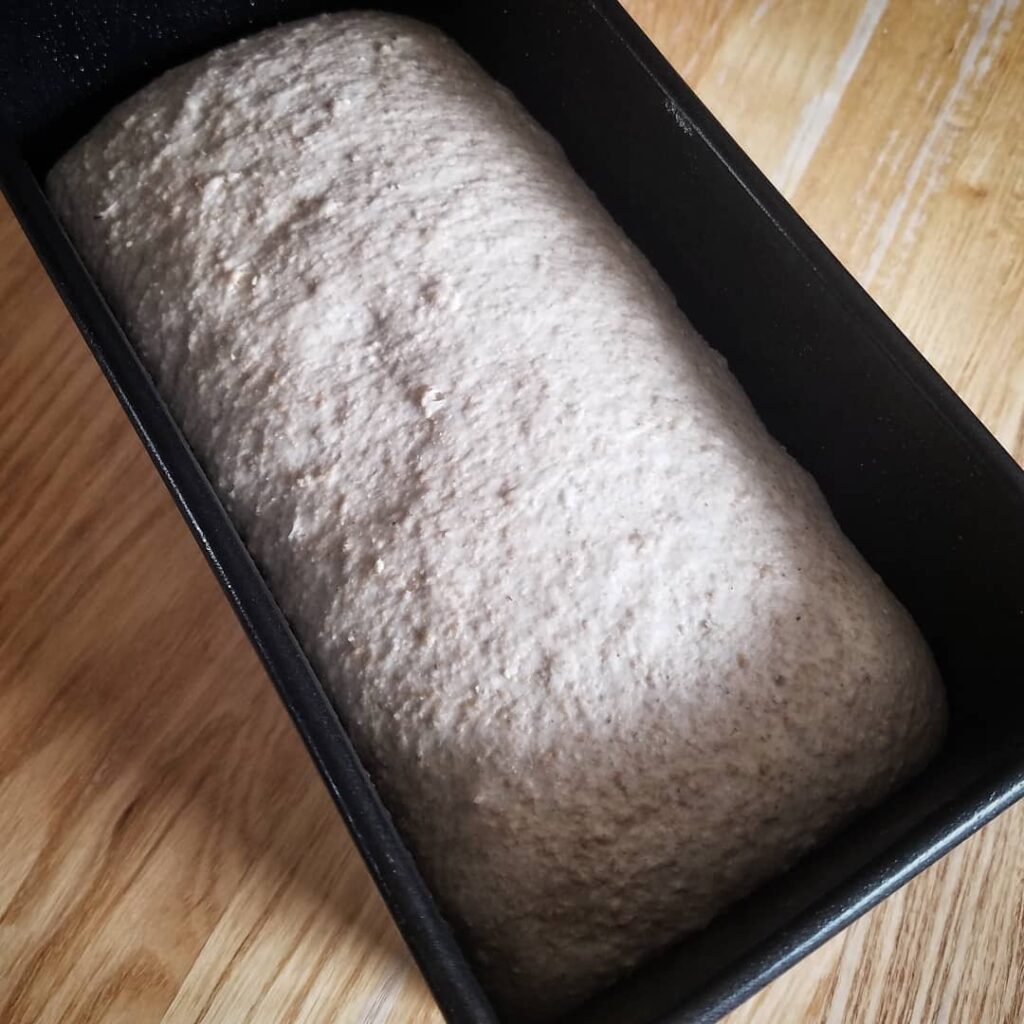 Wholegrain Compilation (Instagram Recap # 3) - Trevor Jay Wilson