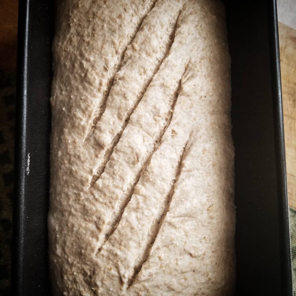 Wholegrain Compilation (Instagram Recap # 3) - Trevor Jay Wilson