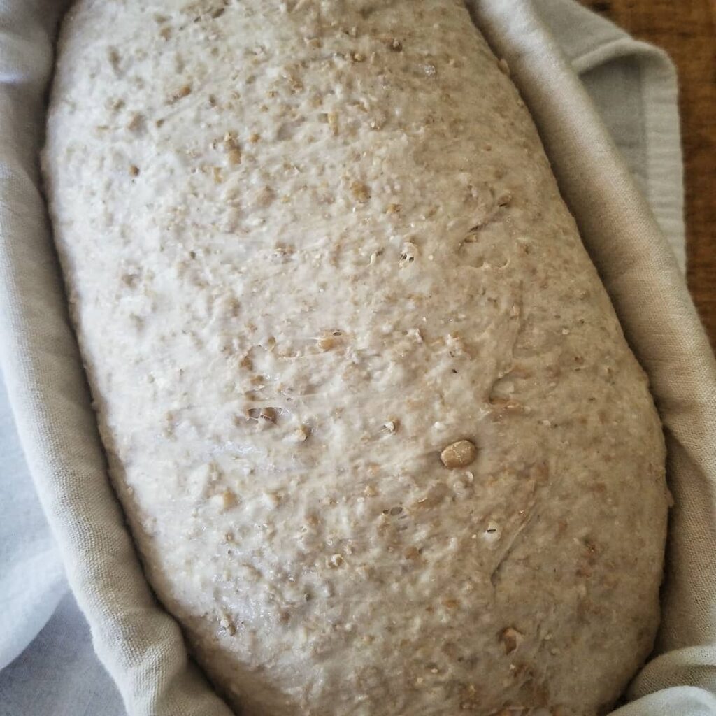 Wholegrain Compilation (Instagram Recap # 3) - Trevor Jay Wilson