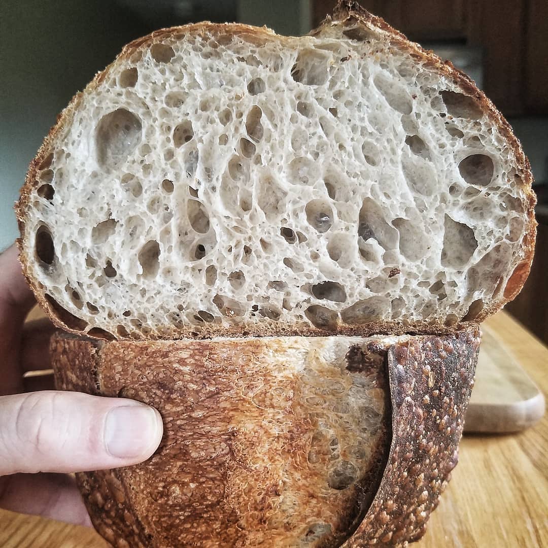 Bulk Fermentation (Instagram Recap # 5) - Trevor Jay Wilson